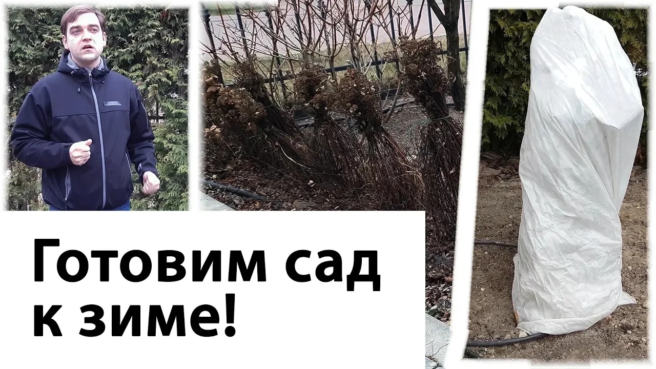 Подготовка растений к зиме