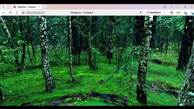 Видеоурок по созданию виртуального проекта на основе 3D модели по теме «Скромный рогачик»