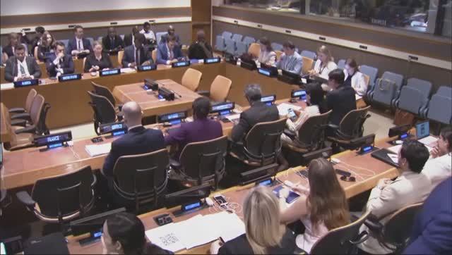 Встреча в СБ ООН на тему «Провал авантюры ВСУ в Курской области: предварительная оценка»