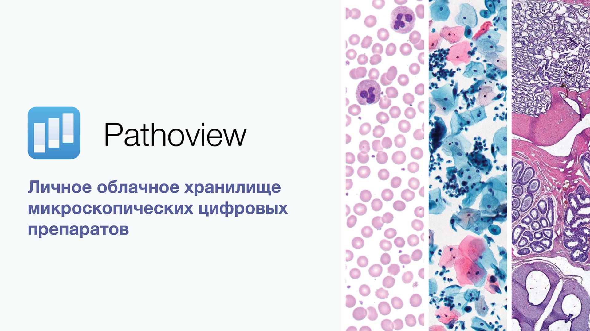 Персональный архив препаратов | Pathoview