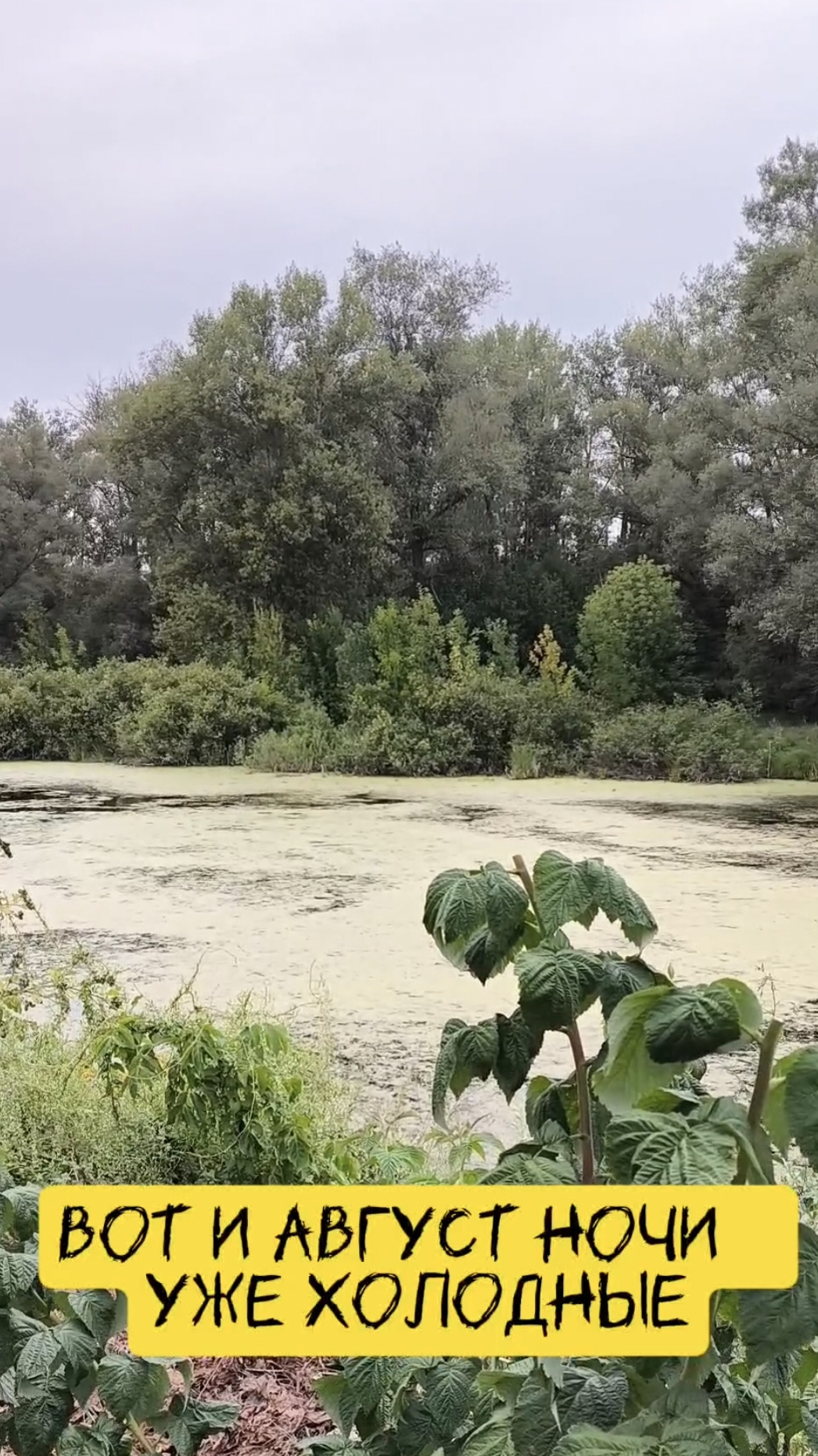 Вот и август