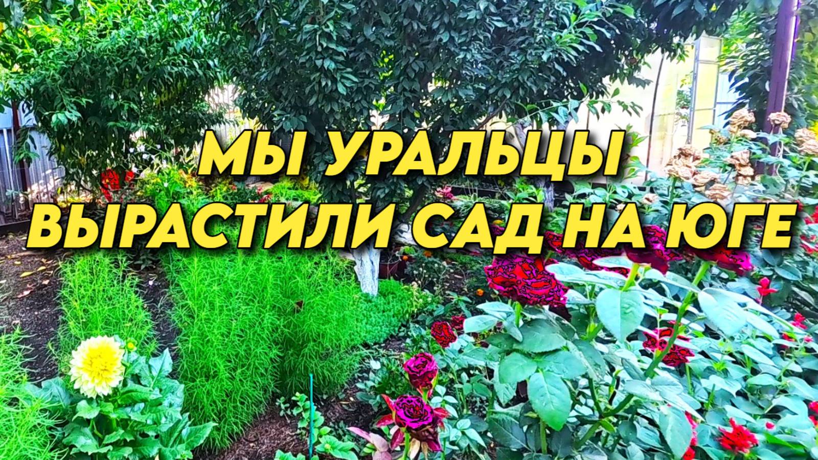 957 Приготовление кабачков в сыре/Жизнь семьи на Кубани/Наш южный сад