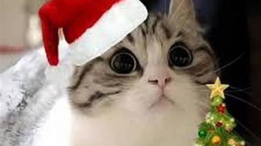 Work it out (отрывок)