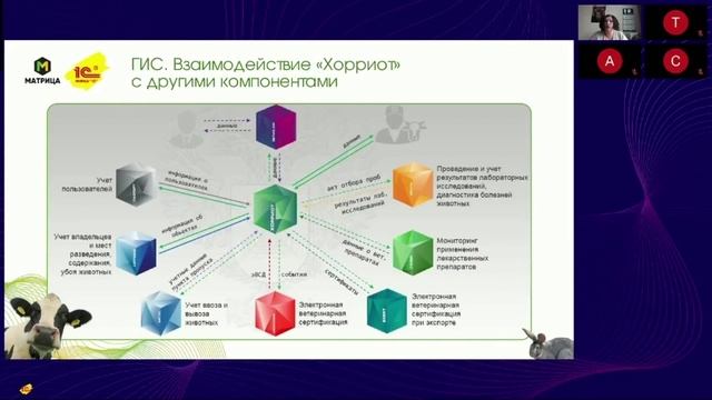 Взаимодействие Хорриота с другими системами