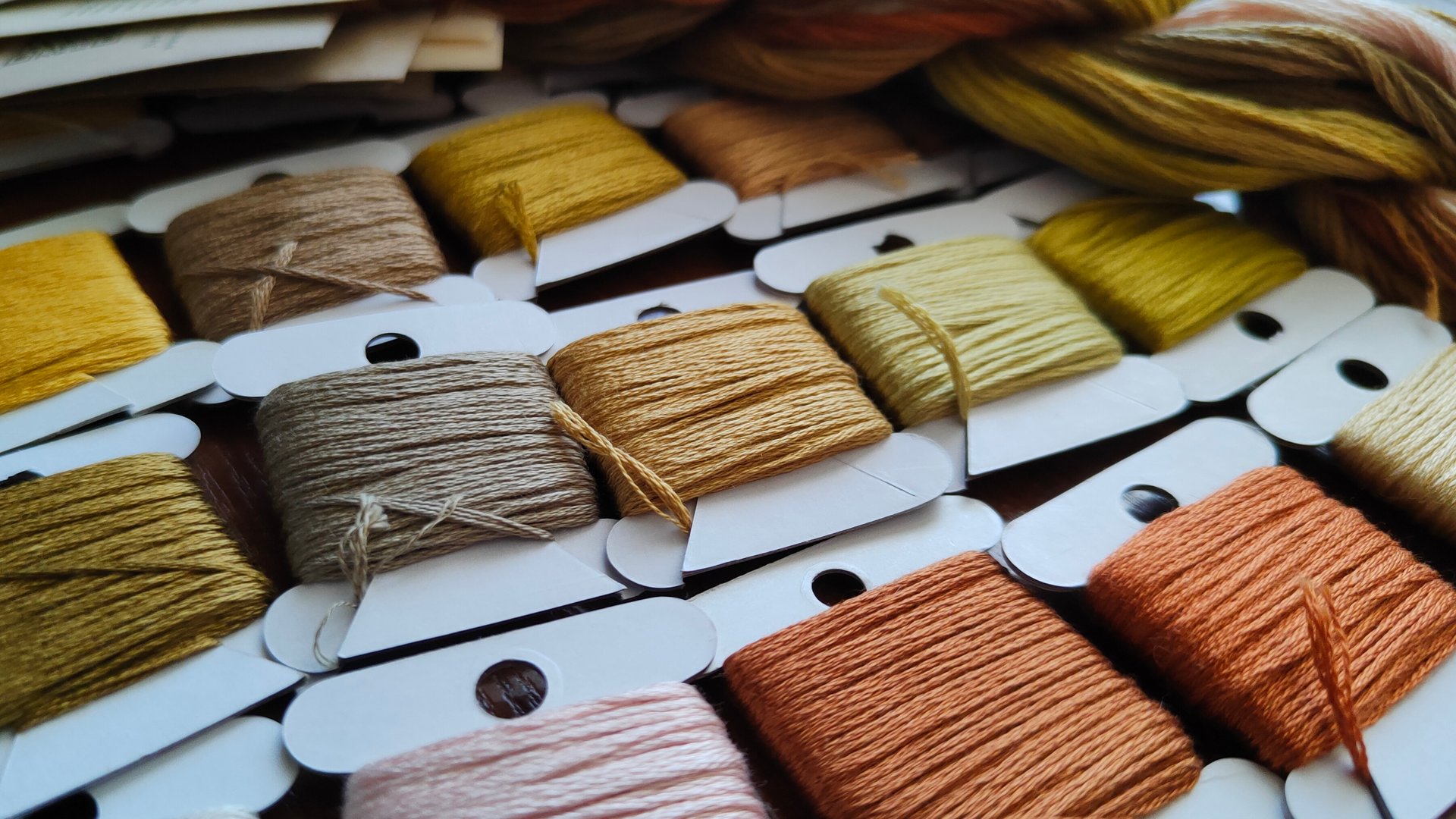 Летний влог. Вторая неделя августа.