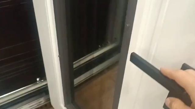 Обзор двери «Тундра с окном АСД»