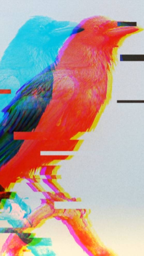 Создавайте интересные визуальные эффекты с Глитч-арт!