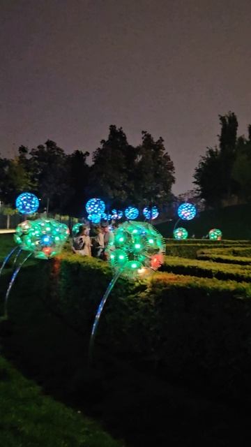 Парк Галицкого, Вечер, Аллея Одуванчиков.