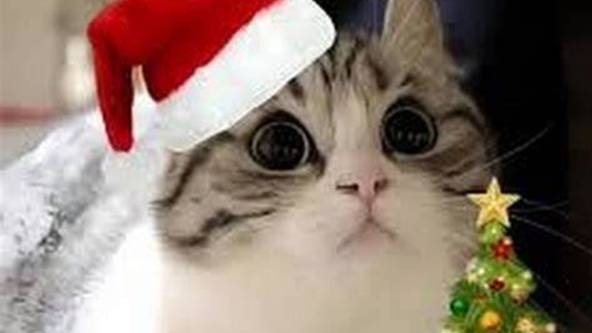 Казав Менi Батько