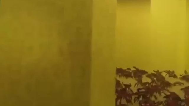 Мы танцуем крабика)