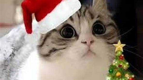 В траве сидел кузнечик