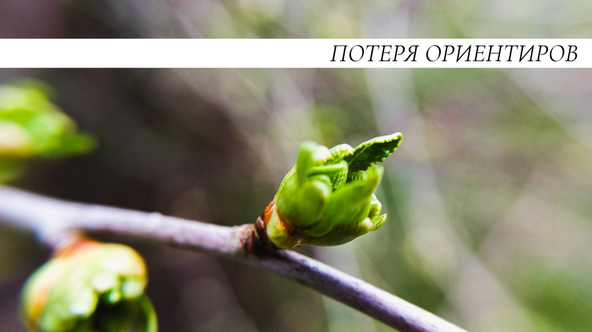 Потеря ориентиров