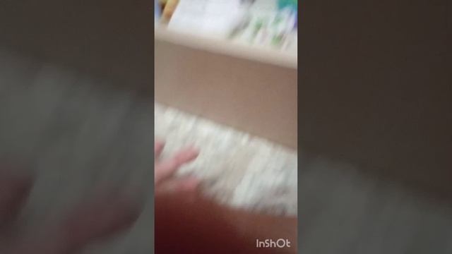 Влог вечер с басиками!?🌈😺🍬🩷