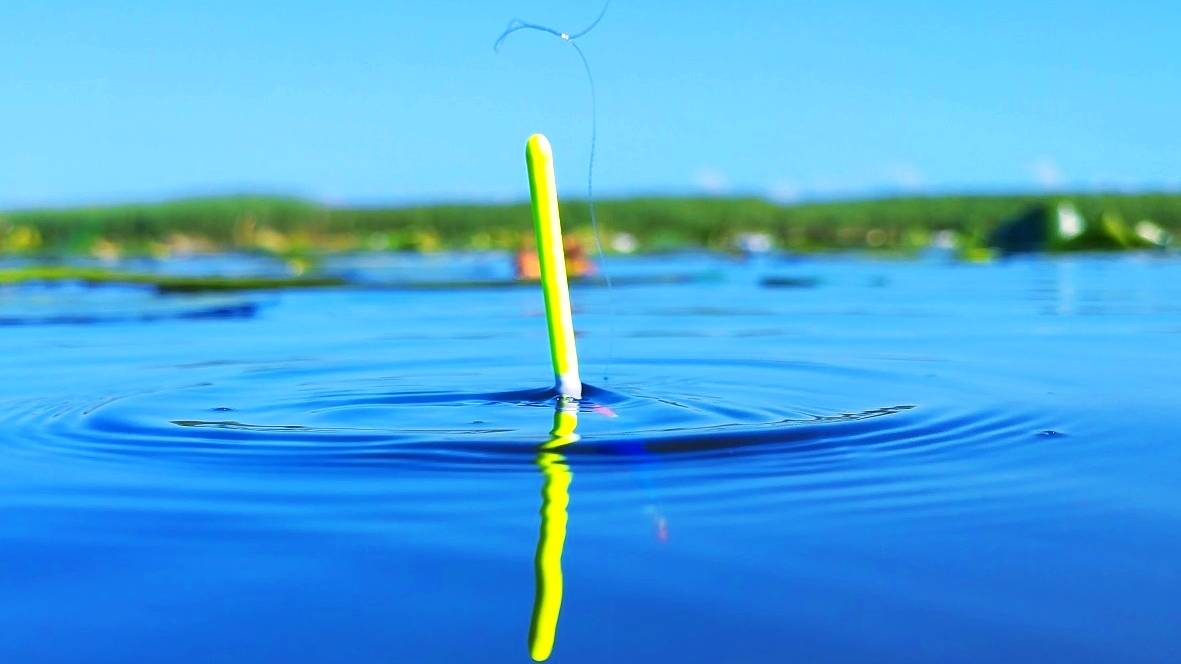 Забрался в реальные дебри кувшинок А ТАМ КОНИ!!! РЫБАЛКА НА ПОПЛАВОК!