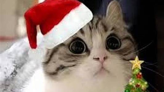 Greensleeves ( folk song )