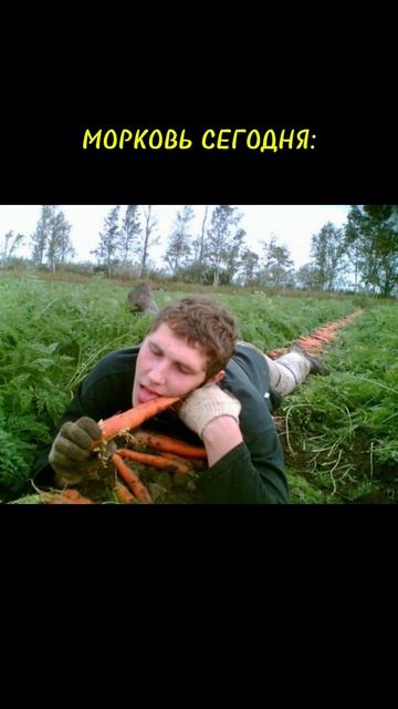 ДИКИЙ ОГУРЕЦ | #Дикийогурец #мем #мемас #memes #мемы #колоптицы #юмор #тикток #shorts #мемы_тикток