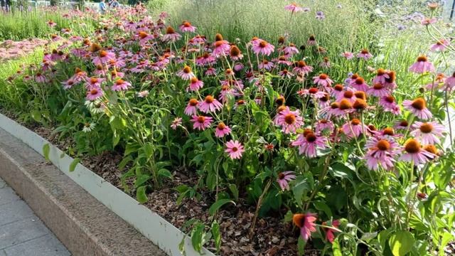 от Старой башни до Кремлевских стен