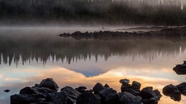 Природа анимация