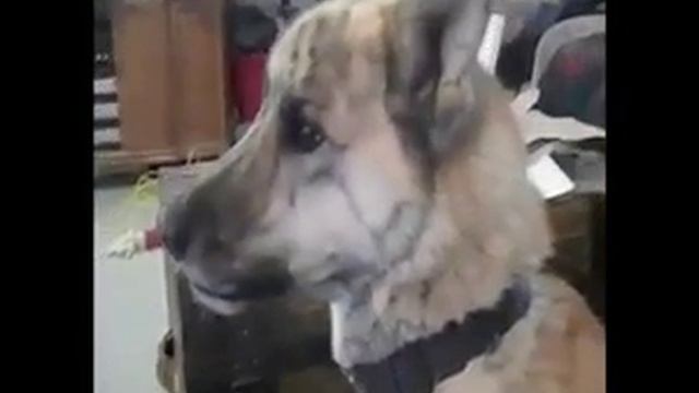 Разговор двух гурманов о еде.