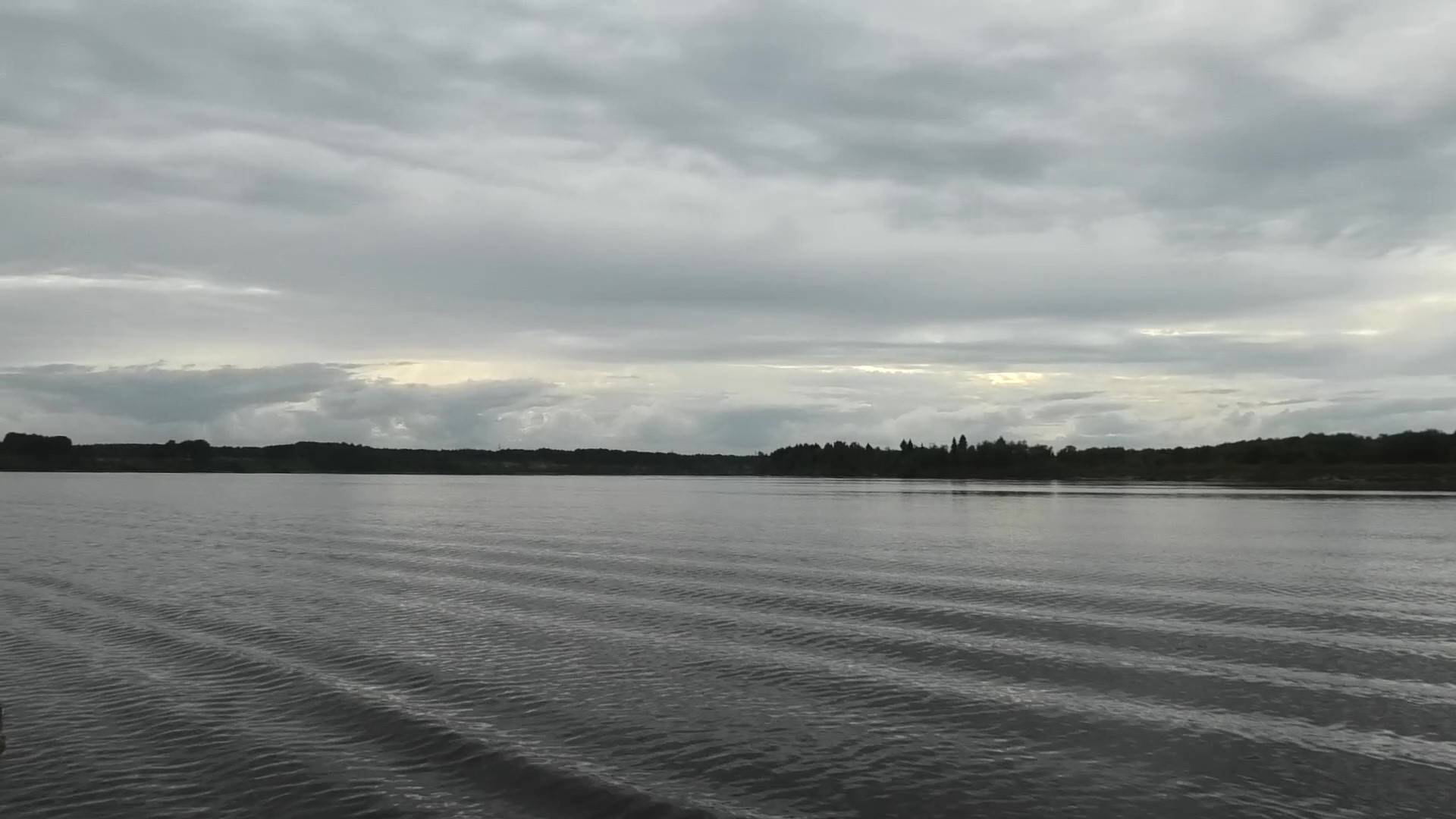 7-11 08 25г отдых, огород, груша Чижовского