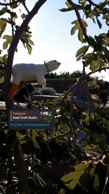 Гусь и инжир