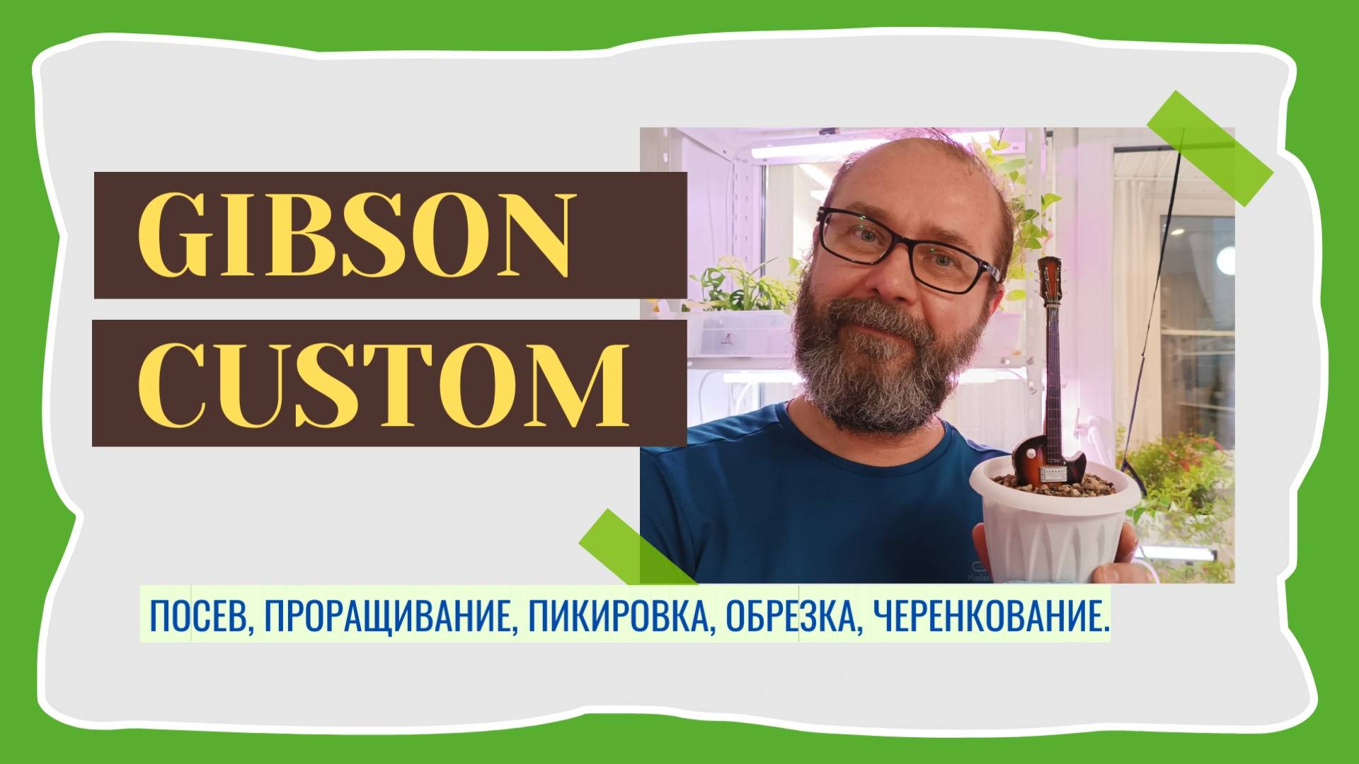 Рассада Gibson Custom