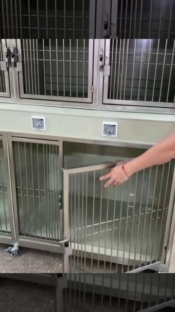 Модуль для ветеринарного стационара 8 клеток