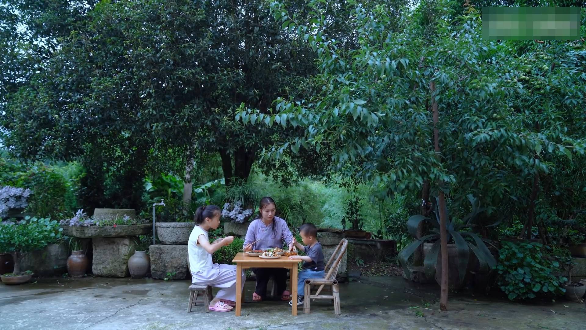 Лун Мэймэй Л - Тофу, сделанный из камней и листьев - Тофу бессмертных (Шэньсянь тофу)