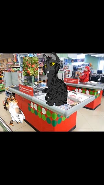 Медянка и Частокол 😅😂 #угарно #ржака🤣 #квтоп #мемы #подпишись ❤️