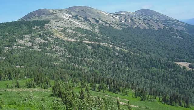 Вид летом с горы Зеленая в Шерегеше (Горная Шория).