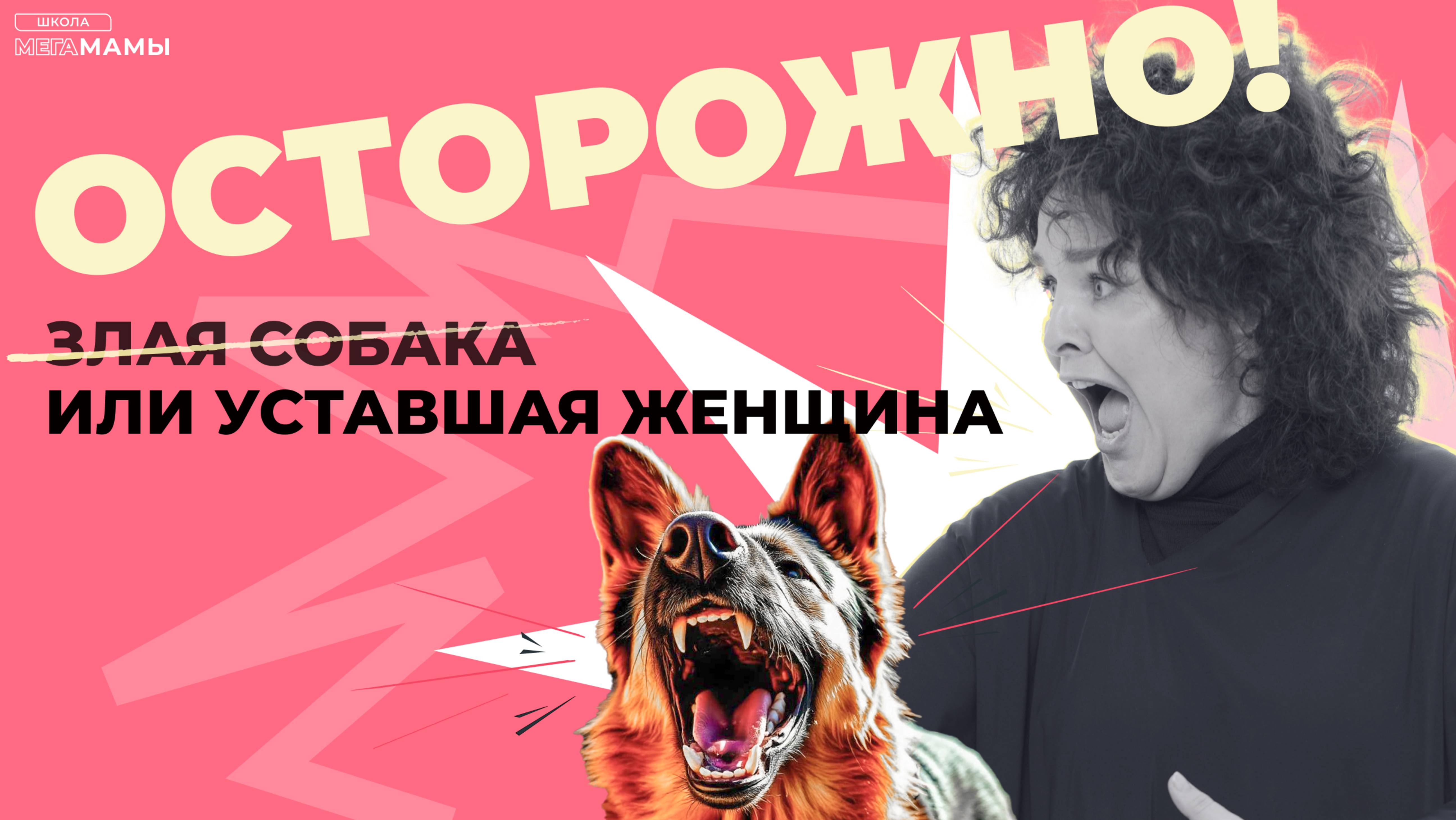 Эфир Бесплатной недели «Гениальной уборки»: «Осторожно злая собака или уставшая мама».