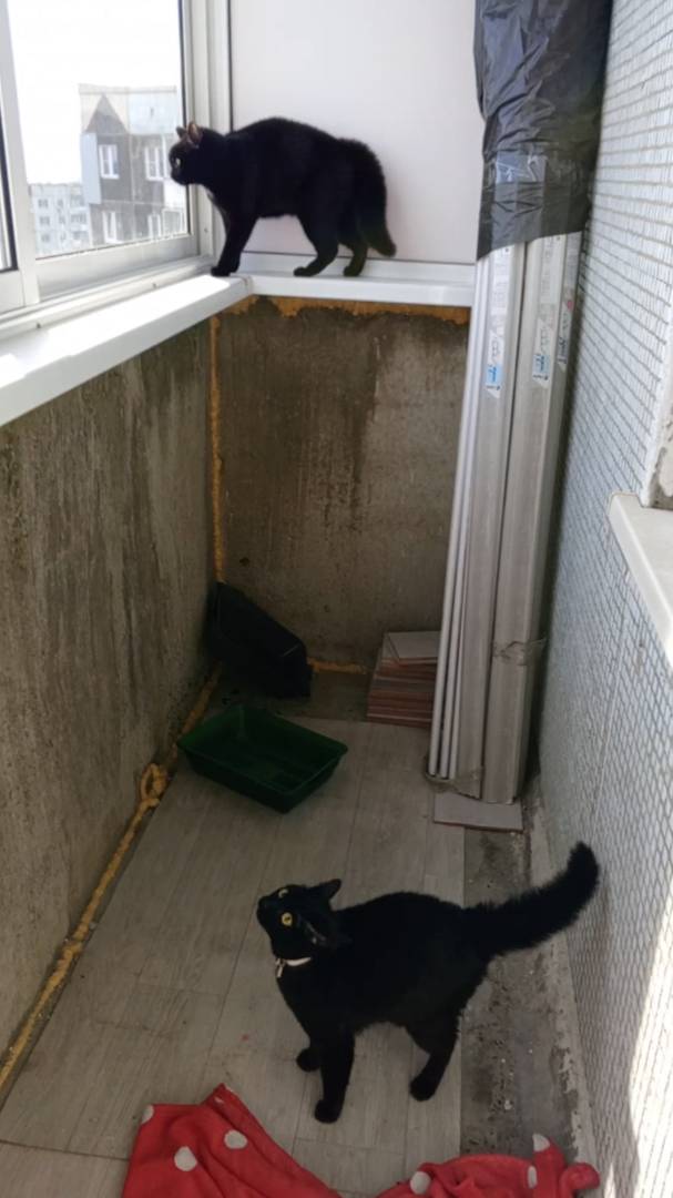 Брошенки-эпизод2