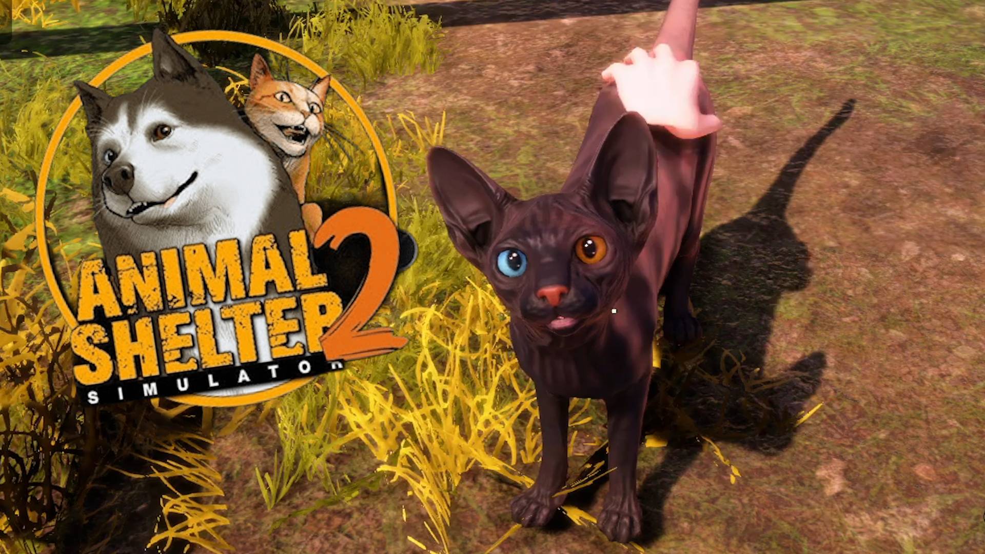 ПРИЮТИЛ БОЛЬНЫХ ЖИВОТНЫХ | ANIMAL SHELTER 2 #4