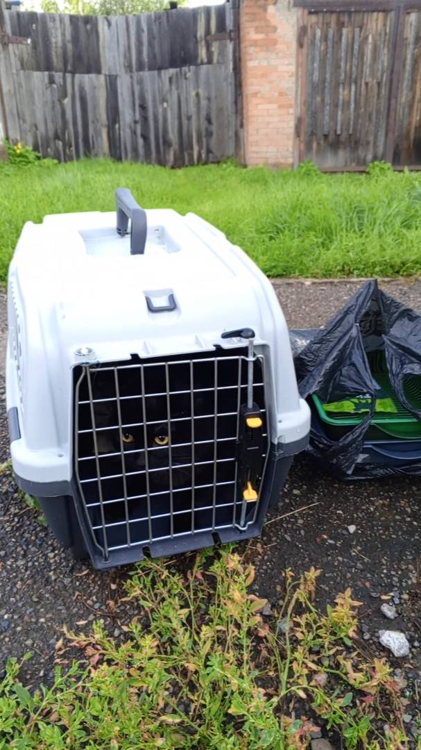 Брошенки-эпизод1