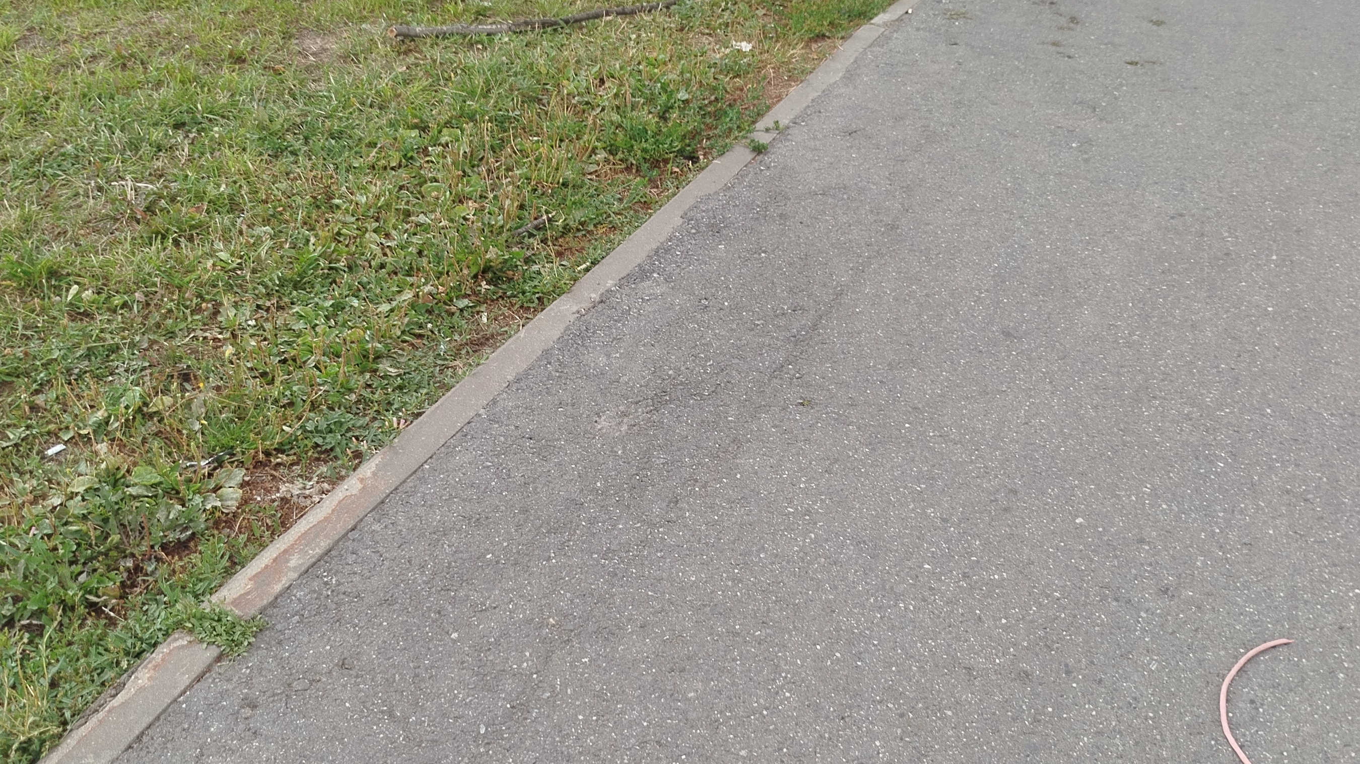 пугаем соню