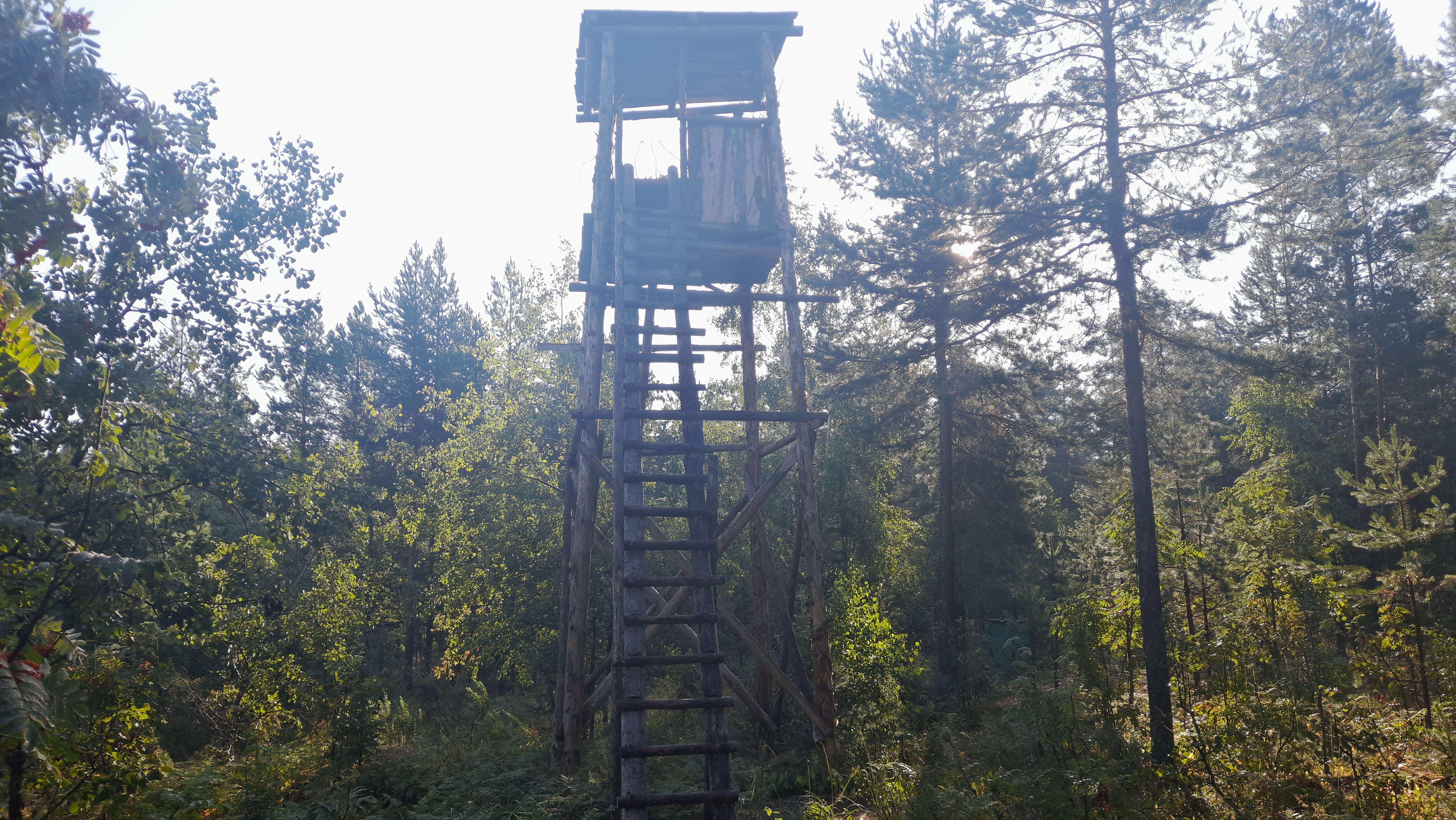 Очередная прогулка с МД по лесу. Поляна в лесу и снова новые постройки.