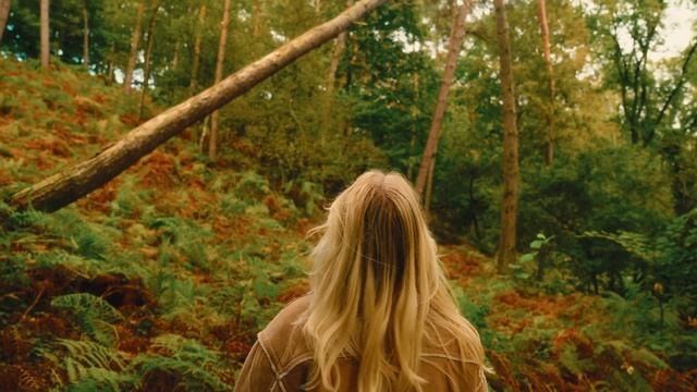 the beauty of still frames _ Sony FX30 _ Film Emulation