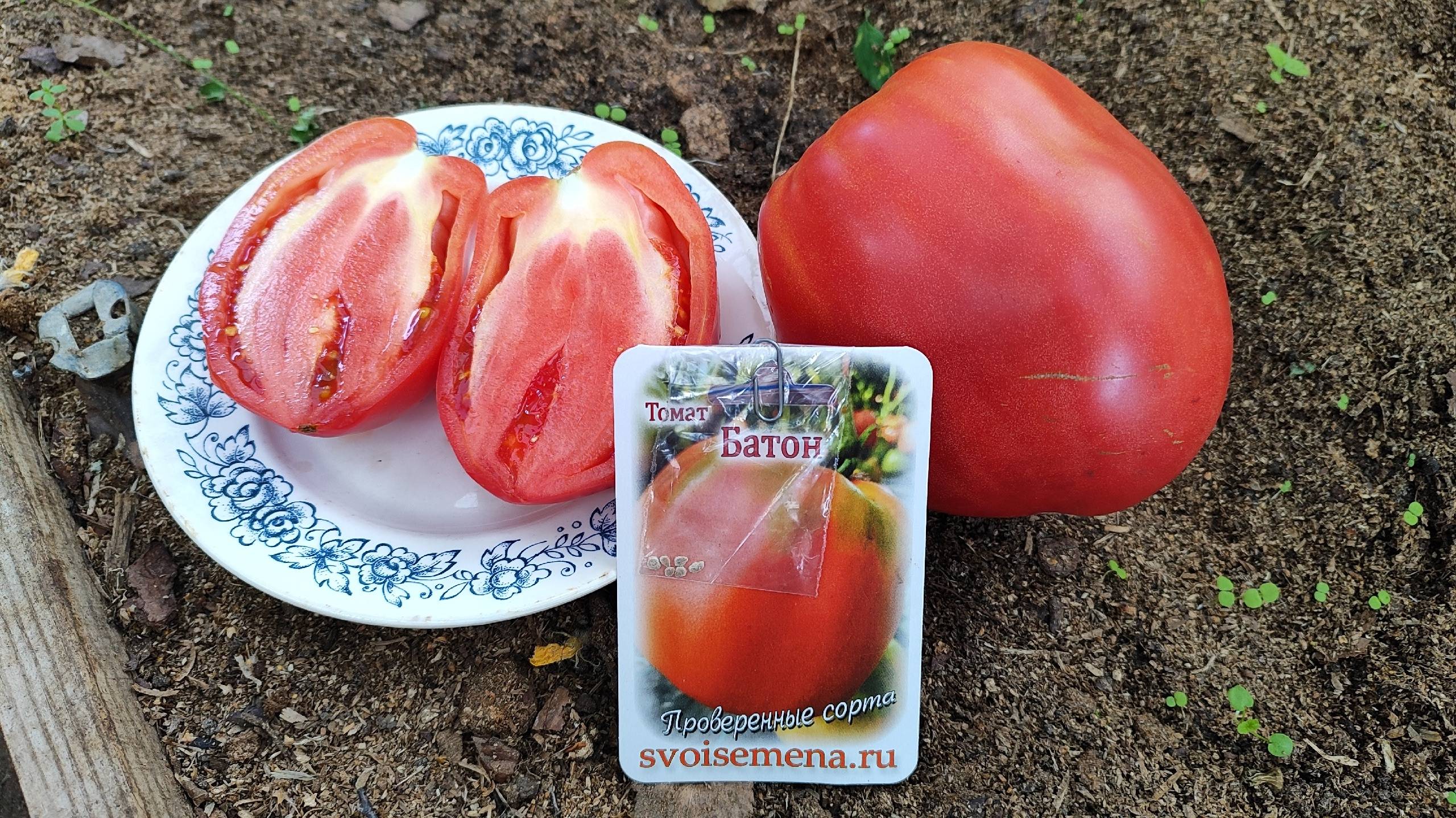 Устойчивый к кладоспориозу томат Батон