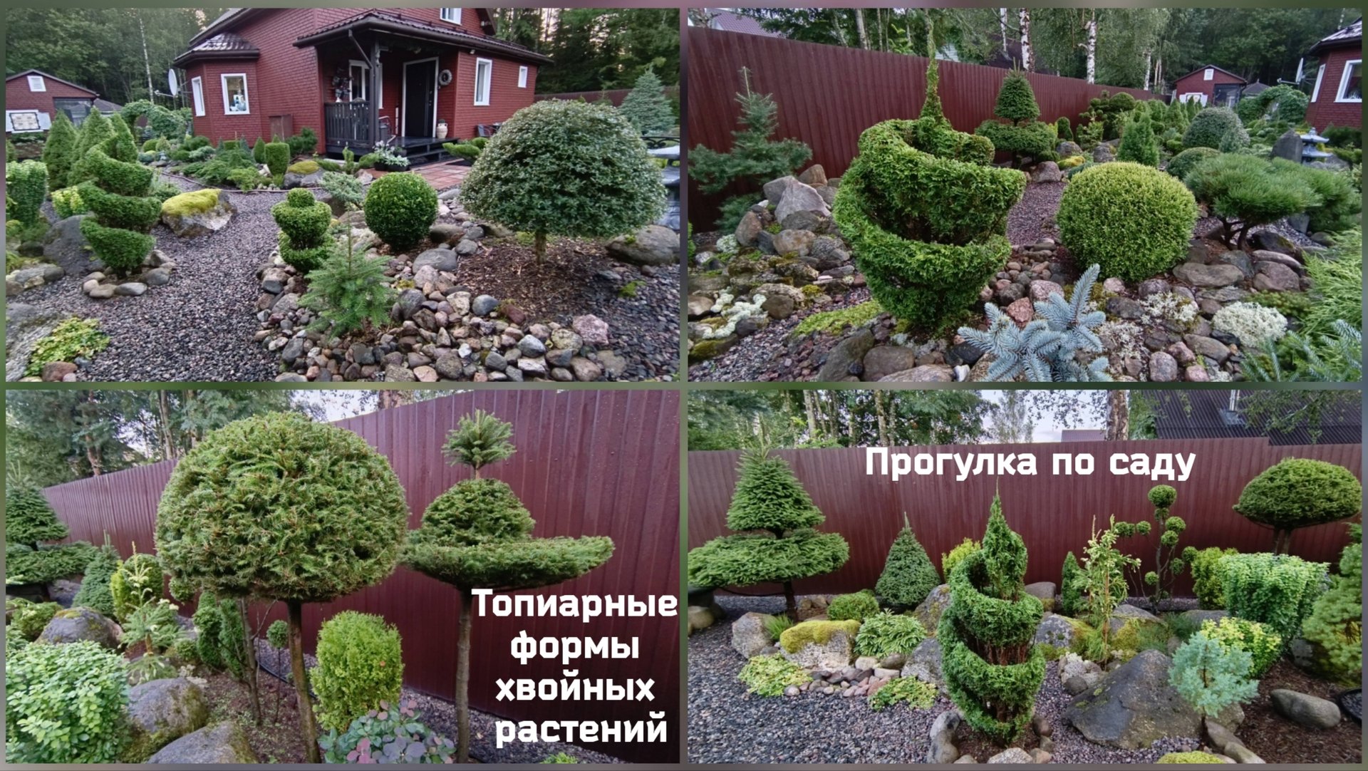 Прогулка по саду. Топиарные формы хвойных растений.