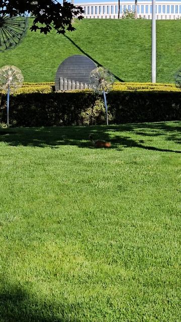 Парк Галицкого, Белка.