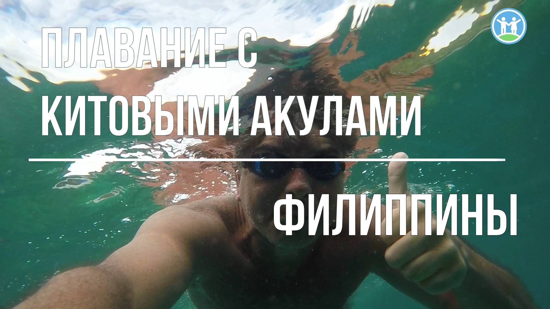 ПЛАВАНИЕ С АКУЛАМИ. ФИЛИППИНЫ