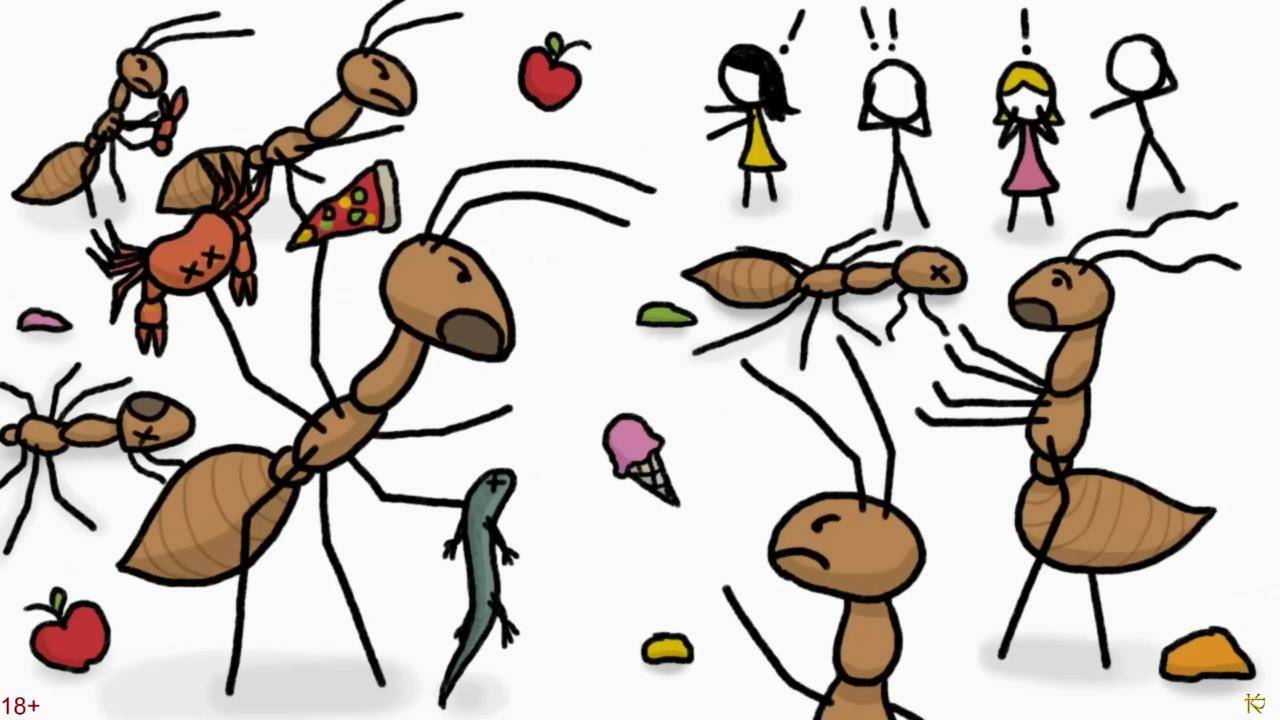 Нашествие желтых сумасшедших муравьев