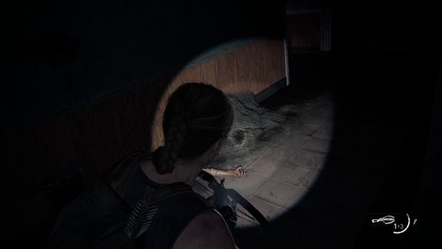 The Last of Us Part II. #27 Последний из нас. Часть II (27-я миссия)