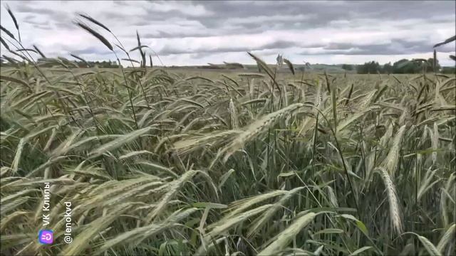 КАК МИР ПРОНЗИТЕЛЬНО ПРЕКРАСЕН...( На стихи Лебедевой А.С.)