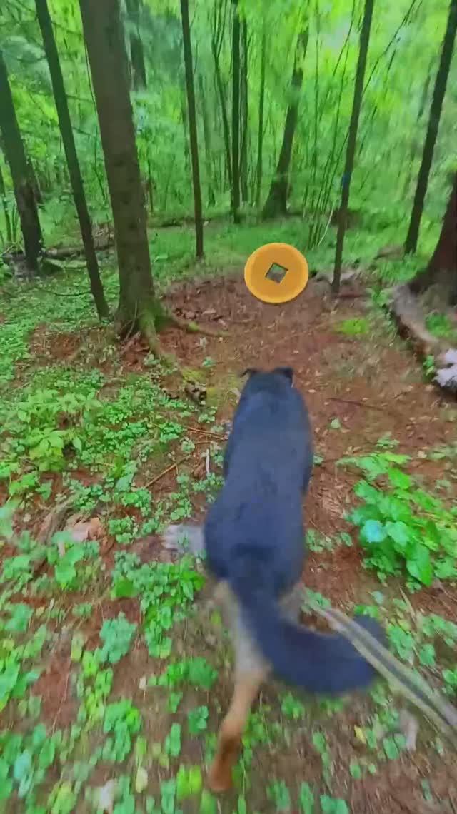 "Квест с Лукасом 🎮 START" ❥ Приют в Малинках