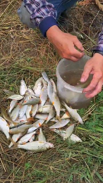 знатный улов :)