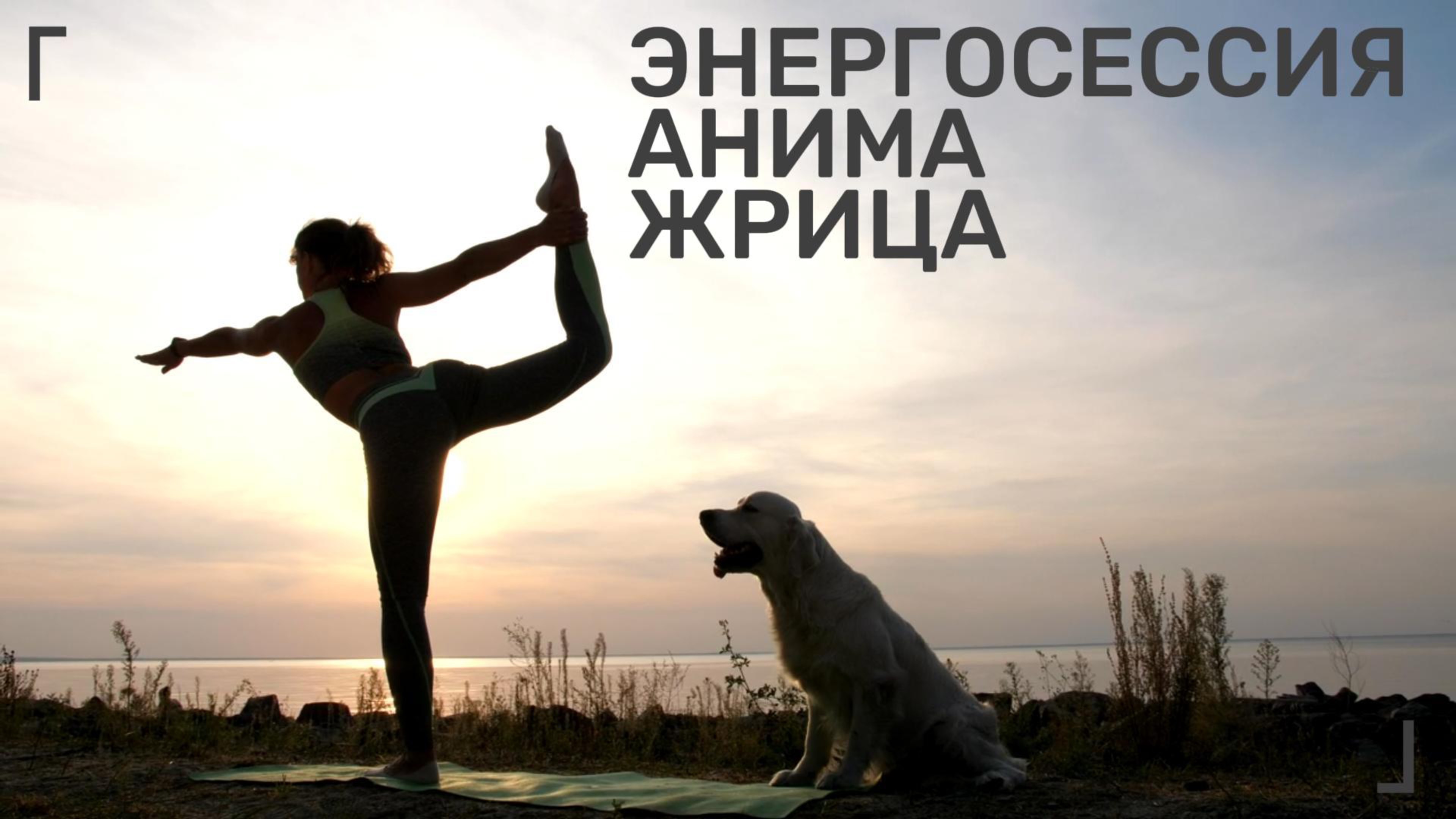 ПРИНЯТИЕ АНИМЫ И АНИМУСА ПО ЮНГУ ЧЕРЕЗ ЭНЕРГОСЕССИИ