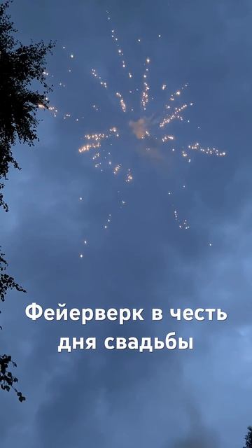 Первый ролик с салютом! Поздравляем нас  #дача #дачныедела #дачныесоветы #салют #дачныеистории