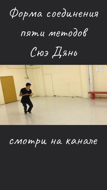 Хай Ян Форма соединения пяти методов Сюэ Дянь