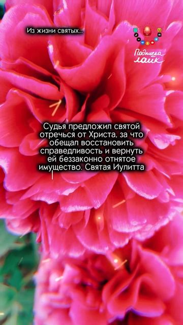 История из жизни.